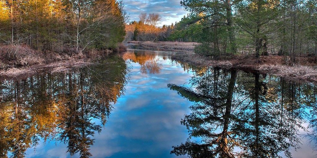 Victory in the Pinelands - ReThink Energy NJ